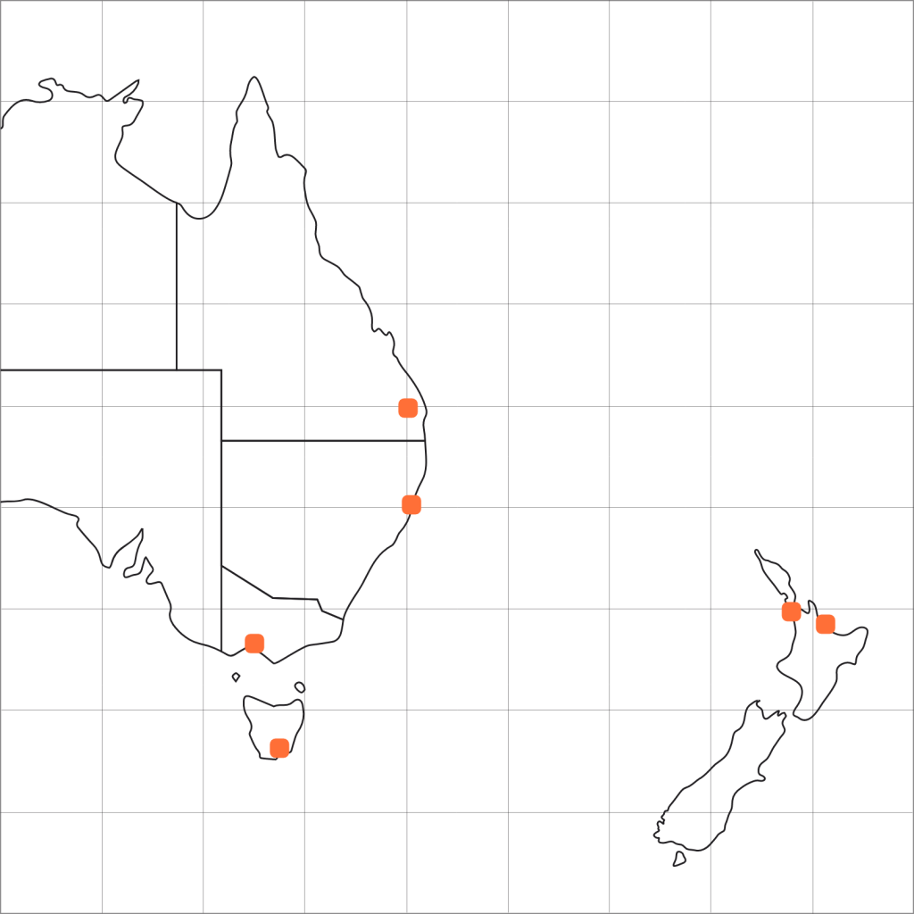 Types of Screw Piles | Blade Pile